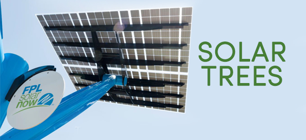 Solar Trees for Doral - Doral Family Journal